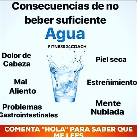 Reter Lava Biologia Consecuencias De No Tomar Agua Inadvertidamente