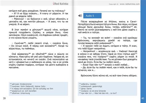 Russische Klassiker Anna Karenina Pack Ebook Printversion