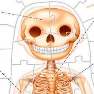 Revueltos Trivias Juego educativo Biología Mobbyt
