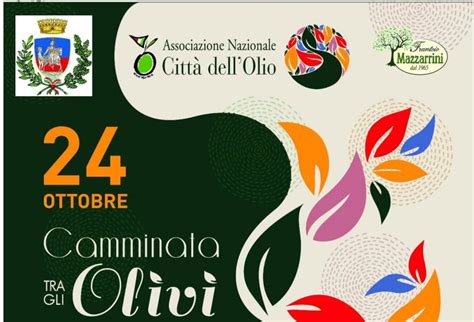 Camminata Tra Gli Olivi Il Percorso ASD Atletica Sinalunga