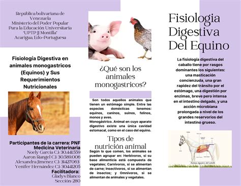 Nutricion animal triptico Qué son los animales monogastricos