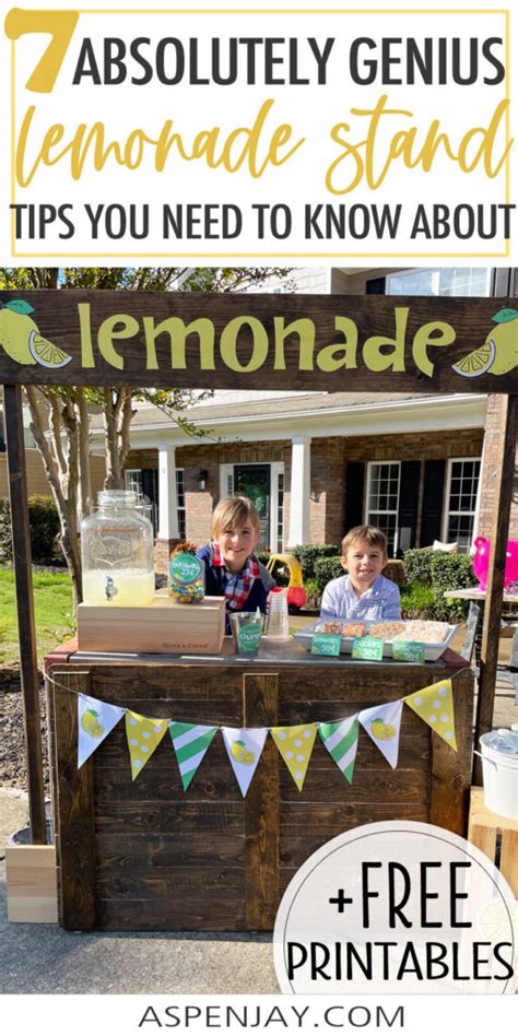 Lucrative Lemonade Stand Ideas For Tons Of Success Aspen Jay