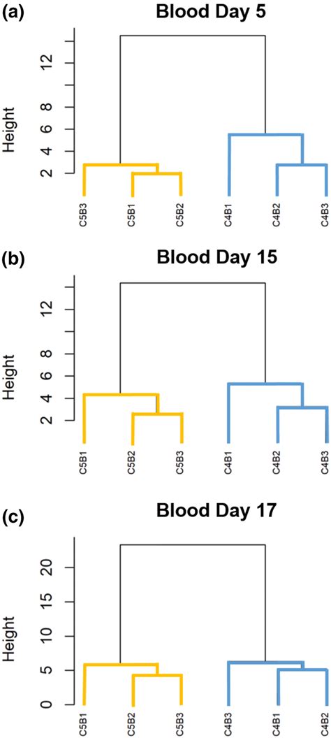 hierarchical cluster analysis hca dendrogram based on the euclidian download scientific