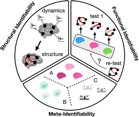 frontiers identifiability of complex networks