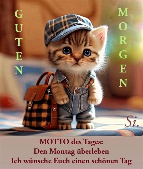 Pin on Sprüche Happy cat Good morning Fun