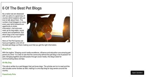 CSS Box Model Codesandbox