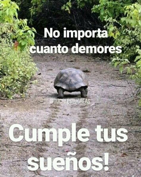 Aquel que disfruta su soledad escoge mejor las compañías Quien no