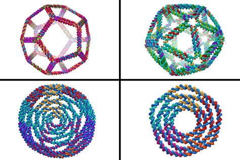 Computer Model Enables Design Of Complex Dna Shapes Mit News