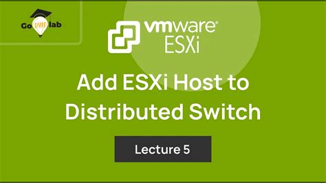 Lecture 5 How To Add ESXi Host To VSphere Distributed Switch In VMware