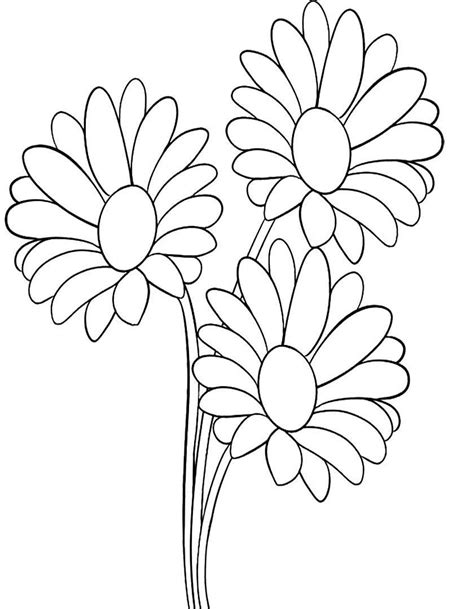 Disegni Di Fiori Da Colorare Foto Nanopress Donna