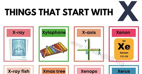 25 Interesting Things That Start With X In English Love English