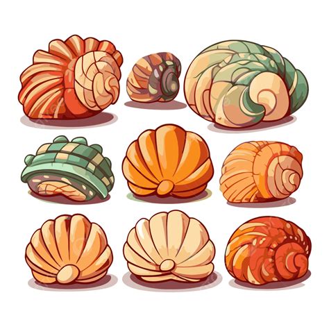 Gambar Set Clipart Conchas Kartun Kerang Laut Vektor Conchas Seni