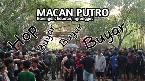 Jaranan MACAN PUTRO Live Punden Barengan Kaloran Ngronggot Barongan