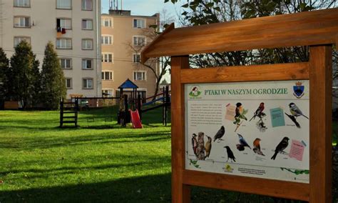 Ekopracownie W Przemyskich Plac Wkach O Wiatowych Sozosfera Ochrona