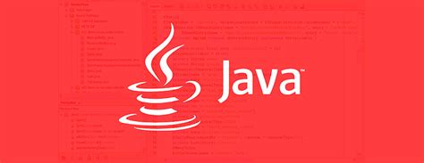 manual de programacion java ver 8 en espa ol bopqeiwant