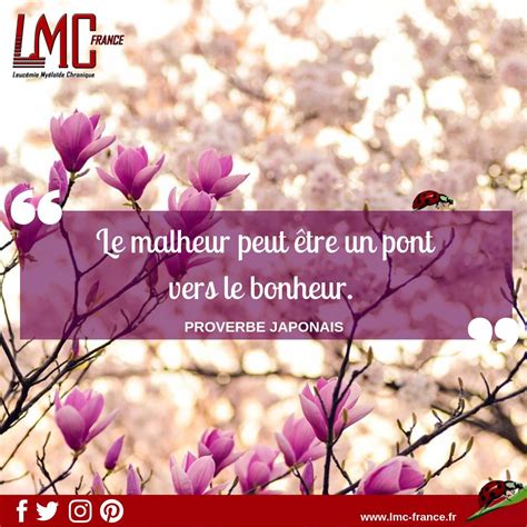 49 Proverbe Japonais Bonheur