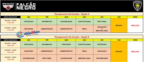 Plano De Estudos Para Pc Rn Gabriela Melo Vis O E Foco