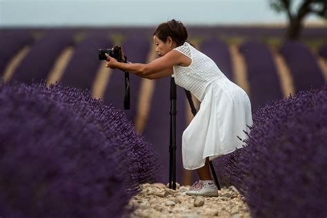 Sc Ne De La Vie Ordinaire D Un Champ De Lavande Pierre Flickr