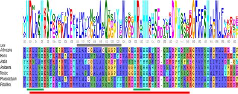 Multiple Sequence Alignment Of The 61114 Sequence Showed With MSA