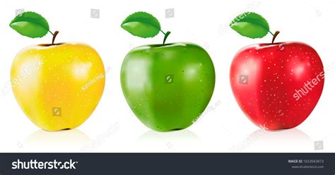 13 549 Red Yellow Green Apples Stock Vectors Images Vector Art