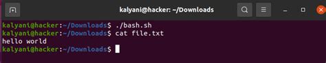 bash scripting symbols