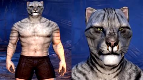 Elder Scrolls Online Character Creation Khajiit In Depth Eso