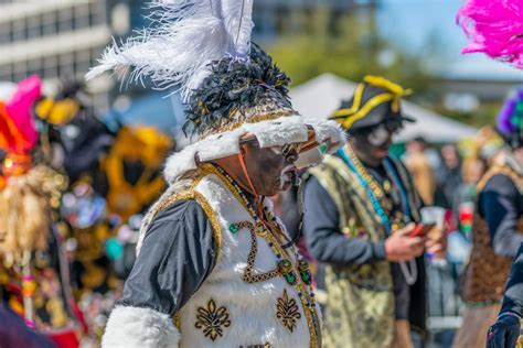 Mardi Gras Upskirt Telegraph