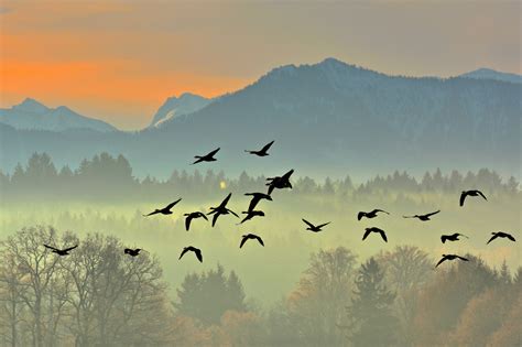Fond d écran lumière du soleil paysage amour ciel lever du soleil