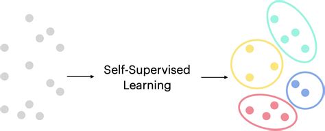 self supervised learning multicomp
