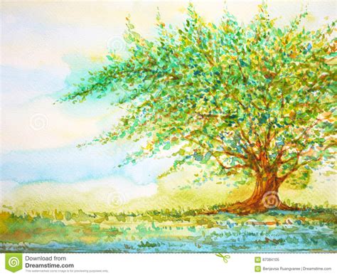 Grande Albero Nel Campo Di Erba E Cielo Blu Pittura Dell Acquerello