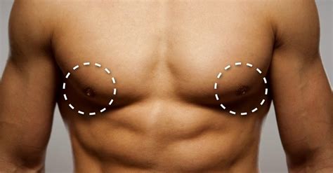 Por qué los hombres tienen pezones si no los usan Bioguia