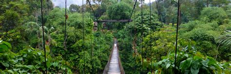 Sumatra Urlaub Atemberaubende Naturerlebnisse Erlebe Indonesien