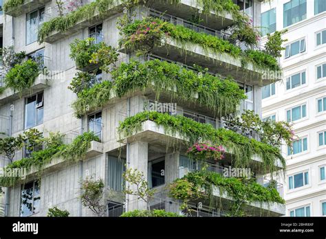 Ecological Buildings Facade With Green Plants And Flowers On The Stone