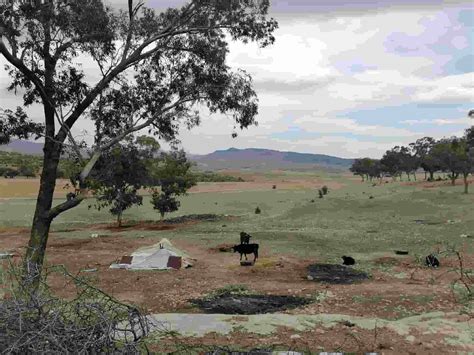 Zaghouan Récupération de 228 ha de terrains domaniaux agricoles