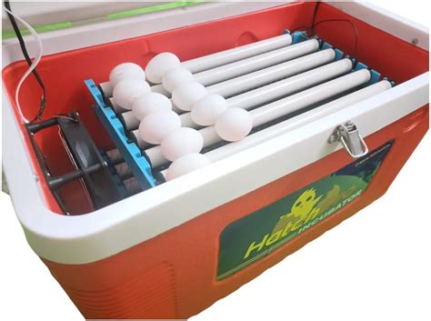 Ndeal Full Automatic Egg Incubator Hatcher 48 Eggs All In One