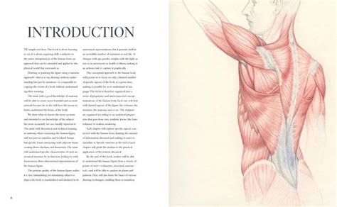 Dynamic Human Anatomy An Artist s Guide to Structure Gesture і на