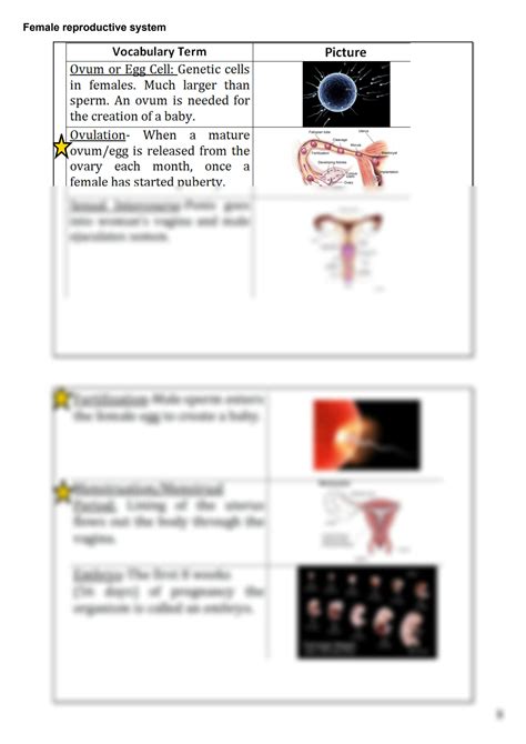 SOLUTION Female Reproductive System Lesson Studypool