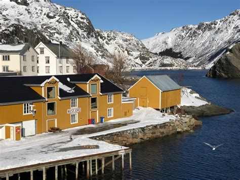 Cosa Vedere Alle Isole Lofoten In 7 Giorni I Viaggi Di Giugliver