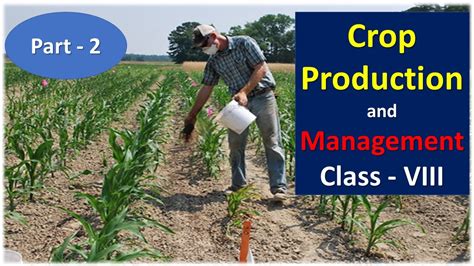 Crop Production And Management PPT Class 8