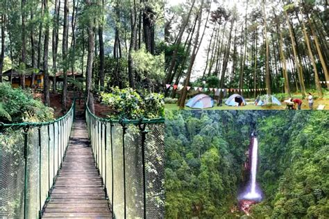 Bukan Hanya Puncak Ini Rekomendasi Tempat Wisata Di Bogor Selain Di