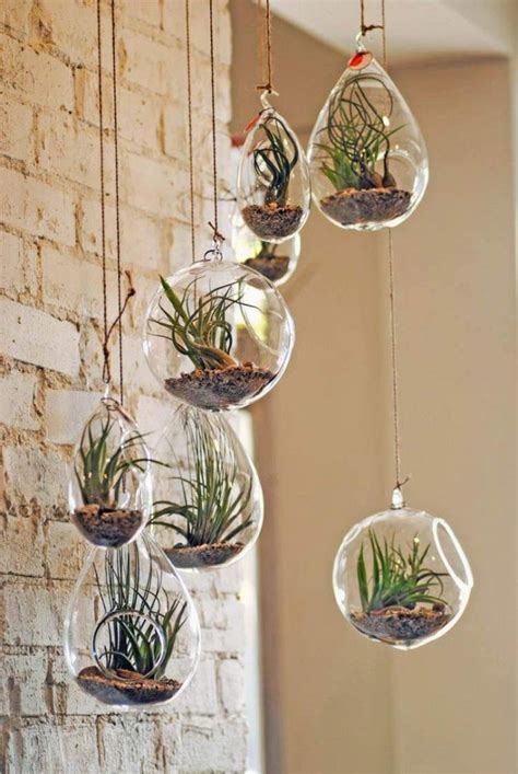 47 Succulent Planting Ideas With Tutorials Succulent Garden Ideas