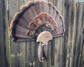 Home Décor Turkey fan and beard display turkey fan plaque reclaimed