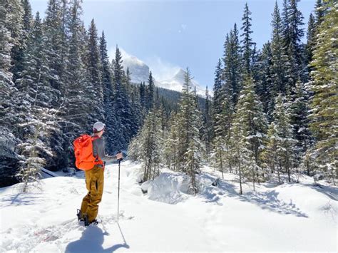 Visiting Banff In April Here Are Helpful Things To Know And Do