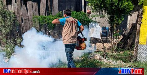 Hoy Tamaulipas Salud En Tamaulipas Coepris Refuerza Campania De Patio