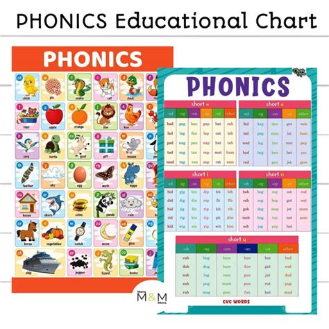 PHONICS Sound Chart A4 Size Laminated Educational Wall Chart