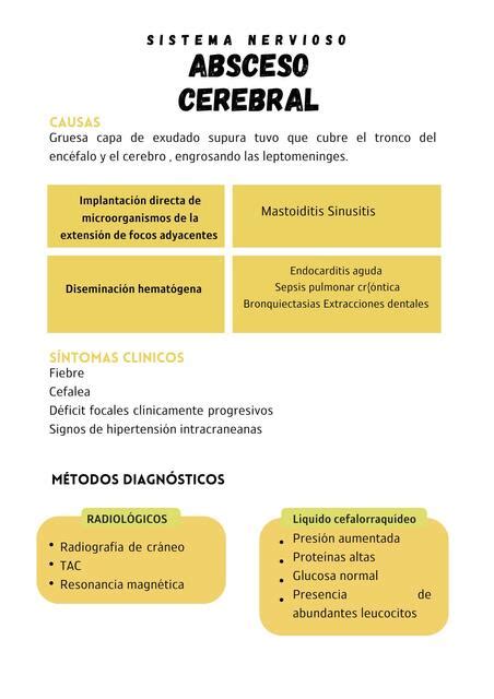 Absceso Cerebral Maryuri Lisbeth Udocz
