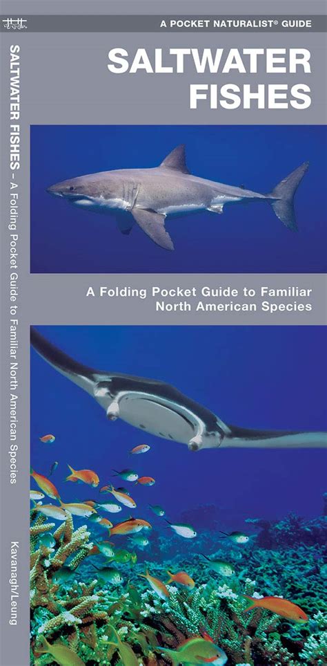 Saltwater Fishes A Folding Pocket Guide To Familiar North American