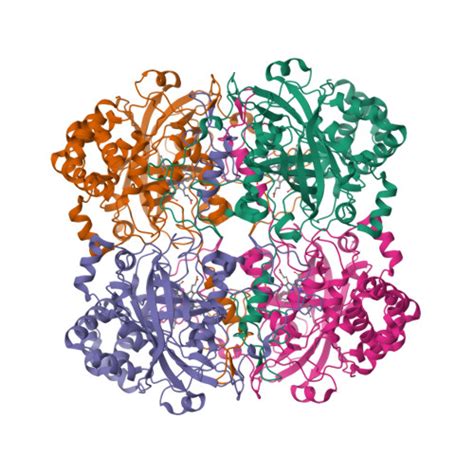 RCSB PDB 1M7S Crystal Structure Analysis Of Catalase CatF Of
