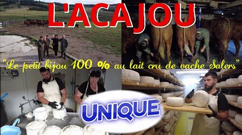 A Saint Paul Des Landes Cantal Le GAEC CAMBON Produit Ce Fromage