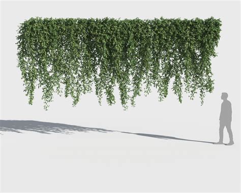 Коллекция вьющихся растений GrowFX 3D Модель 29 max c4d obj